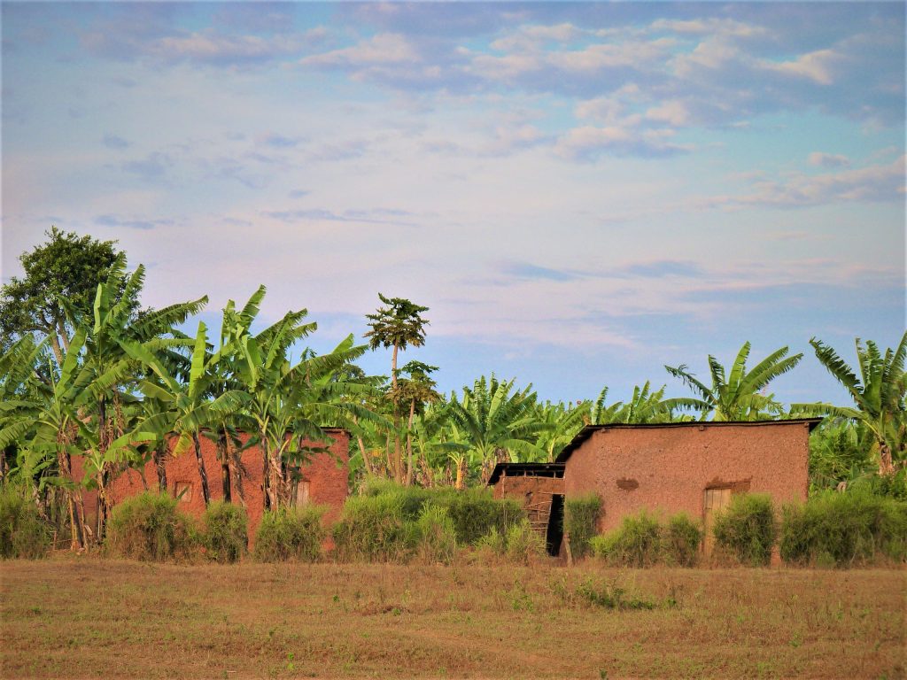 ¿Cómo es el confinamiento en Rukara? - MILCOLINAS ONG